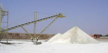 GRUPO CRIMIDESA | AINDEX