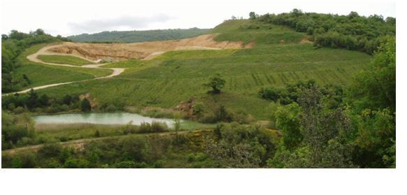 EUSEBIO ECHAVE S.A. -ECHASA- GRUPO SAINSA | AINDEX