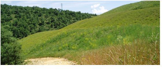 EUSEBIO ECHAVE S.A. -ECHASA- GRUPO SAINSA | AINDEX